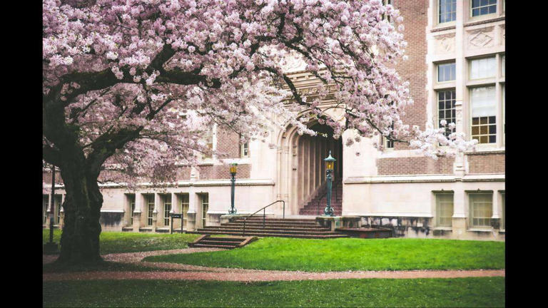 Most beautiful colleges in the US? This campus in Washington state made ...