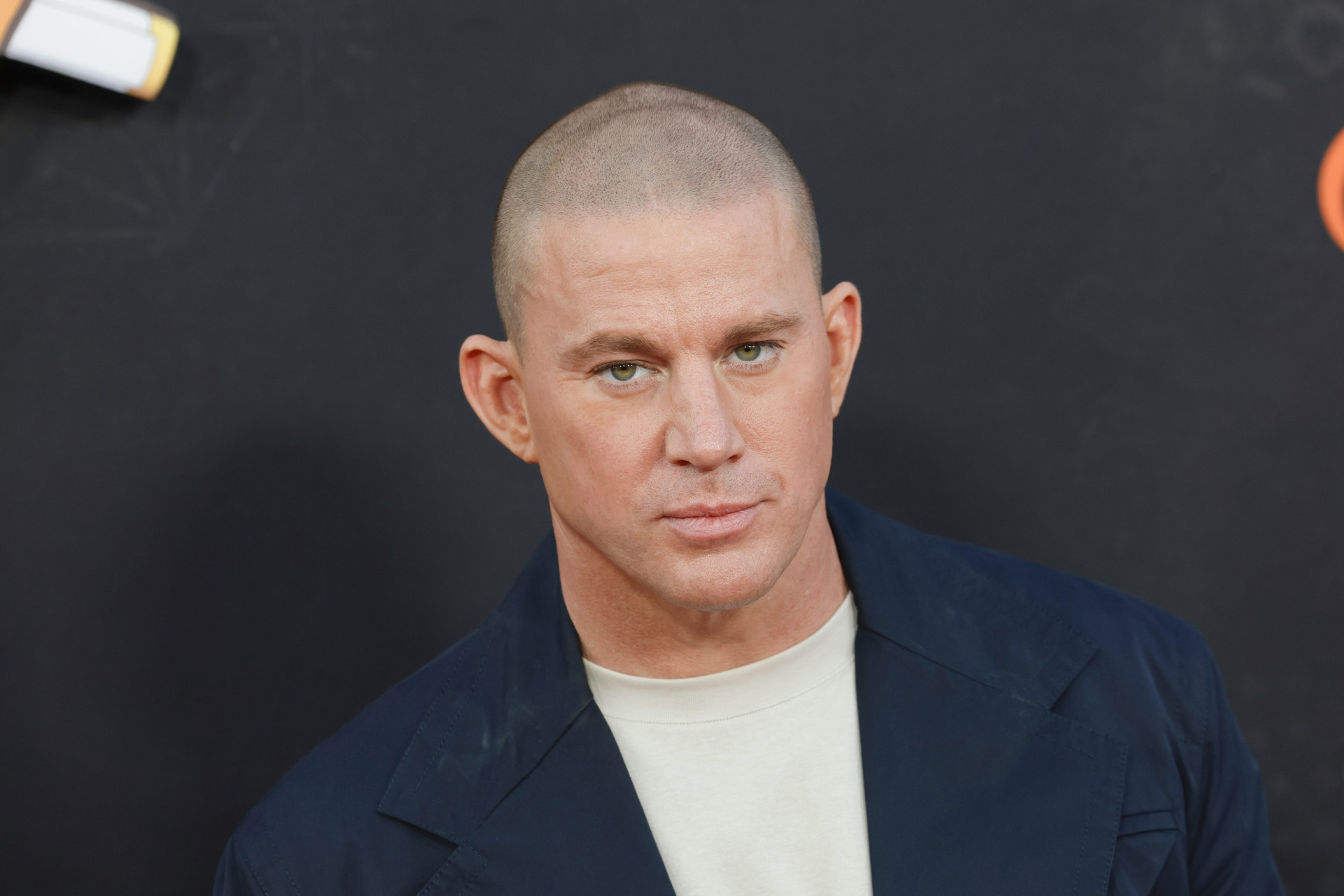These actors turned down roles in successful movies