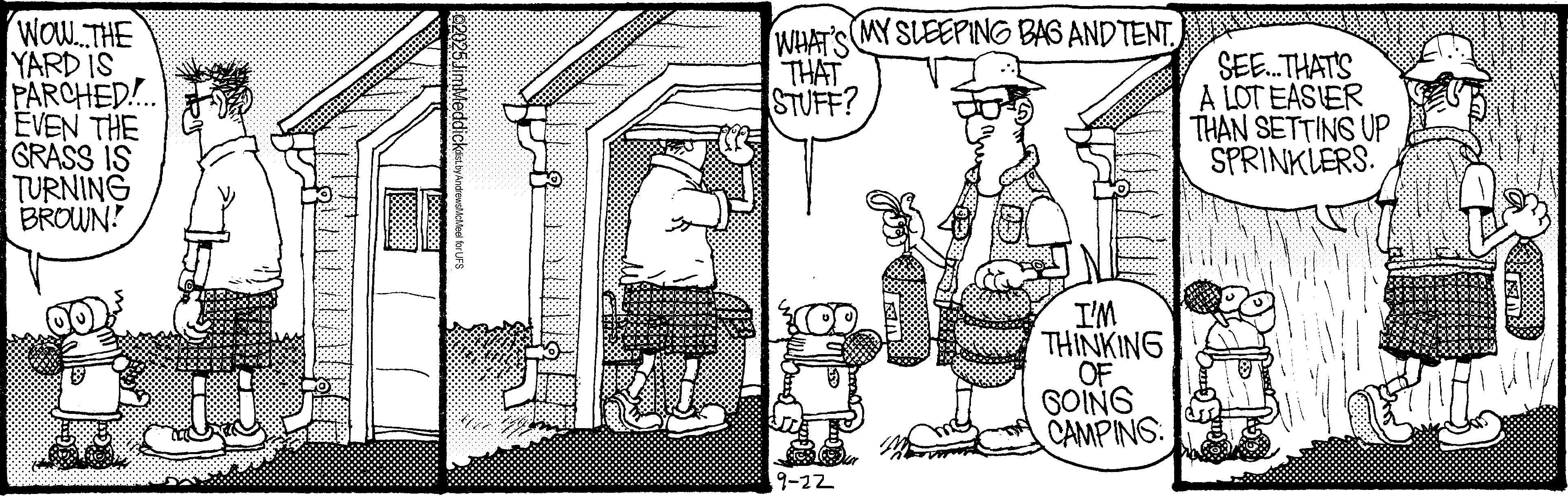 Monty by Jim Meddick