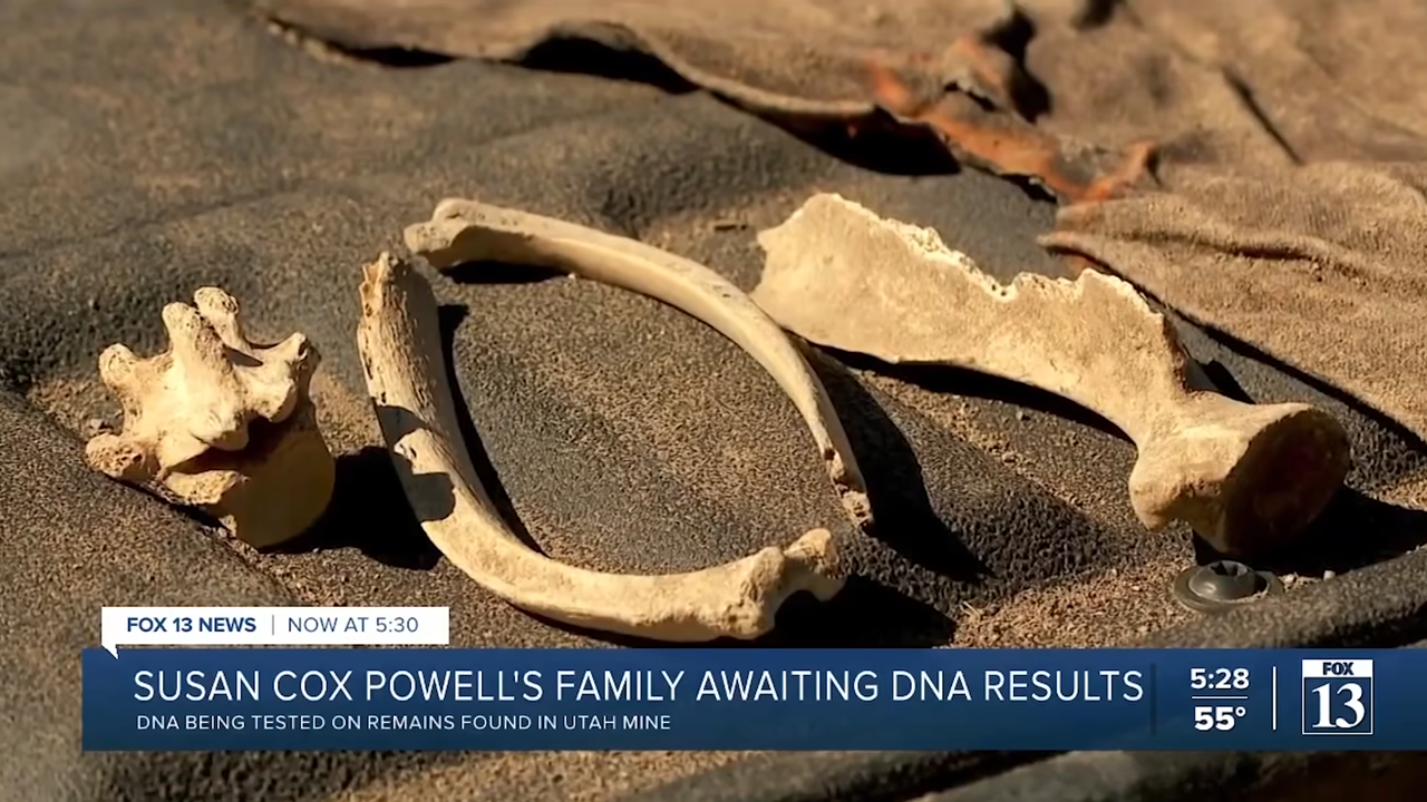 DNA Results From the Susan Powell Case Have Finally Arrived