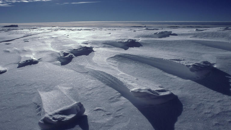 Annular solar eclipse 2026: Everything you need to know about the 'ring ...