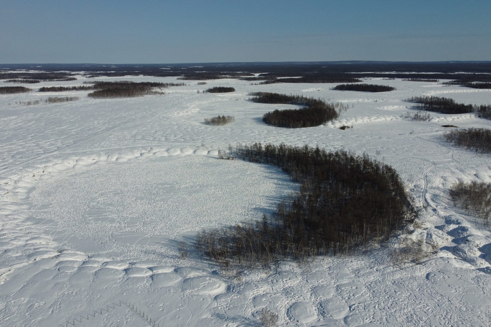 Ancient 'zombie virus' brought back to life from Siberian ice