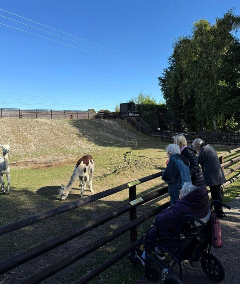 Melbourn Springs residents enjoy a day out at Meldreth Zoo