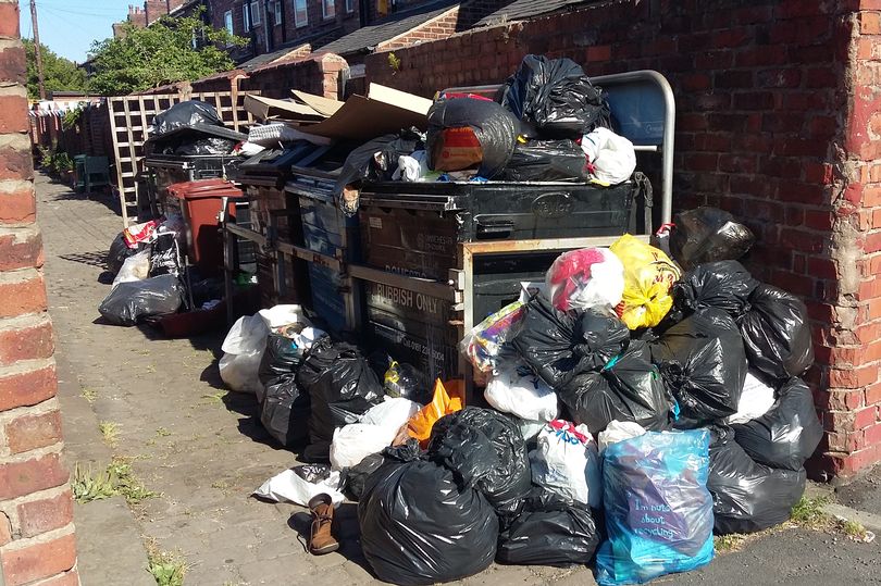 This alleyway was full of rats, then they did something about it