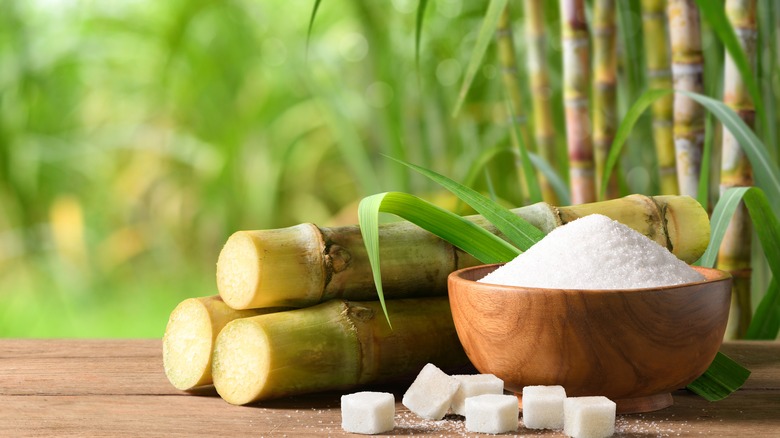 Everything You Wanted To Know About Sugar But Were Too Afraid To Ask