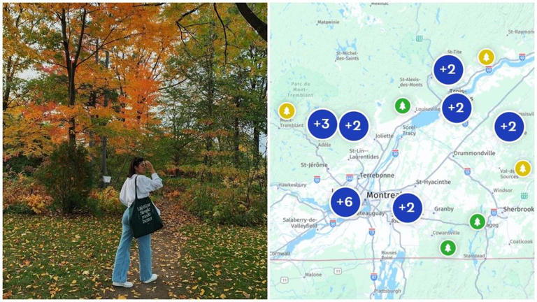 This fall foliage map shows exactly when & where to catch peak colours ...