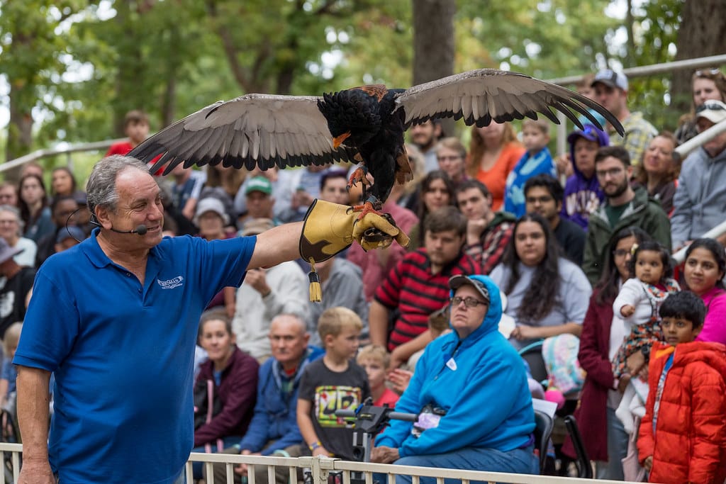 Ultimate Guide to The NC State Fair (2025): All you need to know!