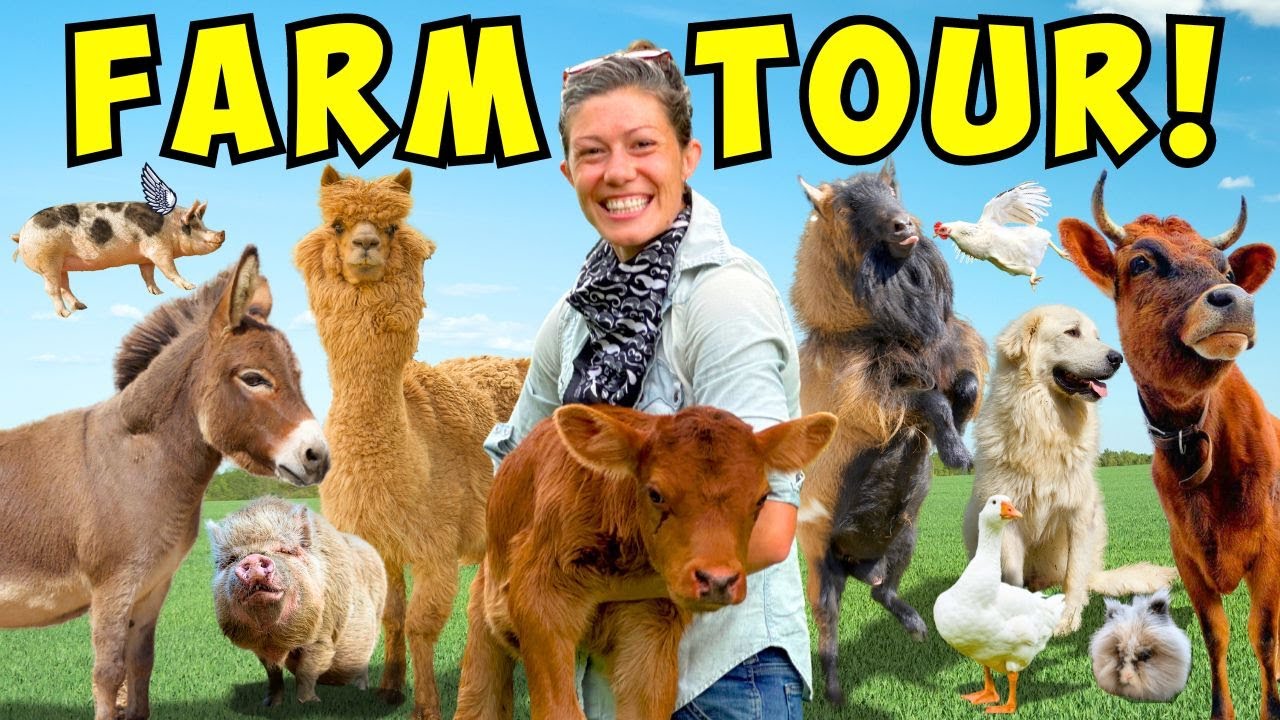 Meet My 111 Adorable Animals! | Morning Chores FARM TOUR!