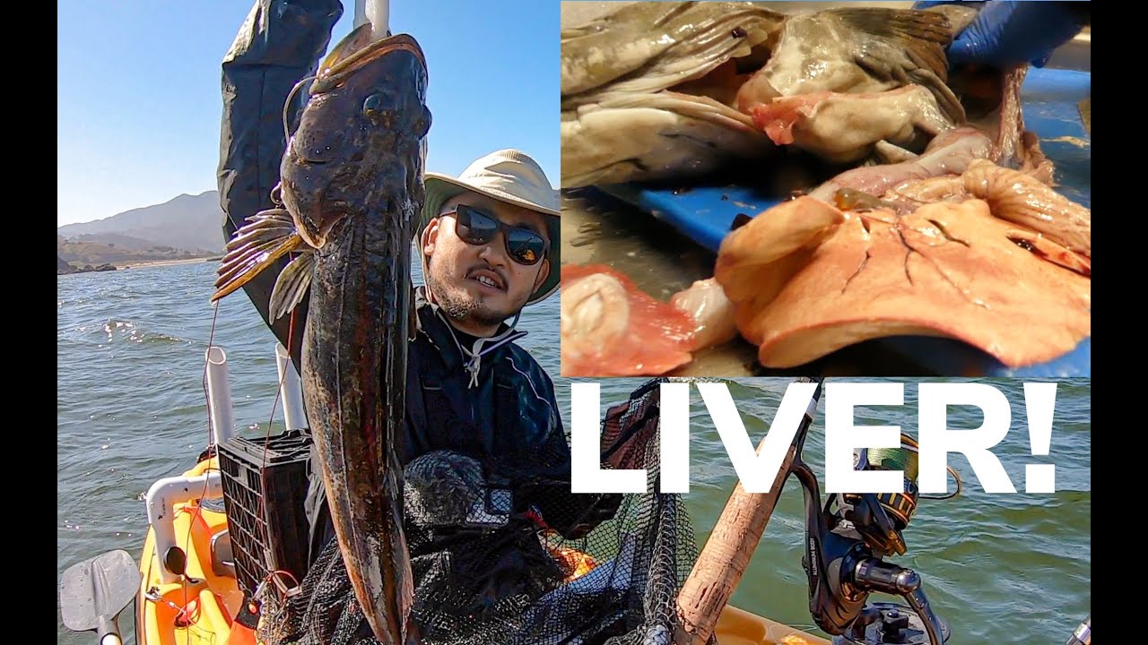 Catch and Cook Lingcod LIVER!! +Boat RUNS OVER KAYAKER