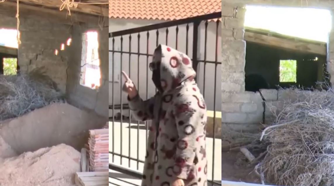 Βοιωτία: «Ήταν σχεδόν αποστεωμένη» – Οι μαρτυρίες για τη μητέρα της ...