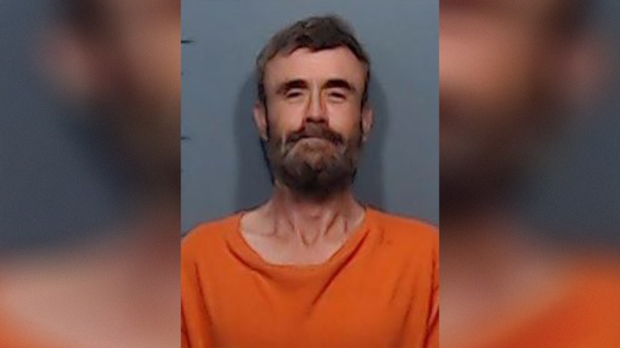 Suspect indicted after allegedly throwing dog at Abilene intersection