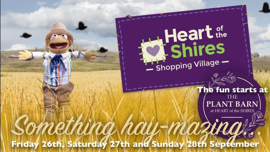 Hay-mazing news! Scarecrows are taking over