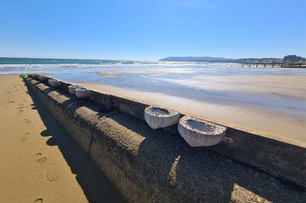 Sandown leads coastal project helping marine life thrive in handmade pools