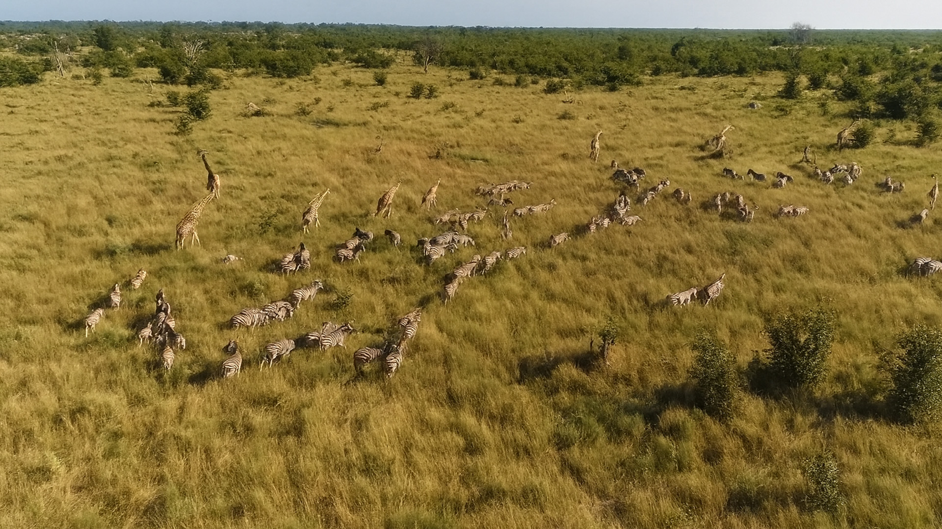 Landscapes of Botswana – Okavango Delta Captured in 4K