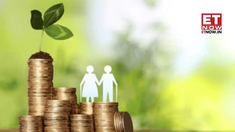 Turkish restaurant opens first ever location at Bay Park Square Mall in ...