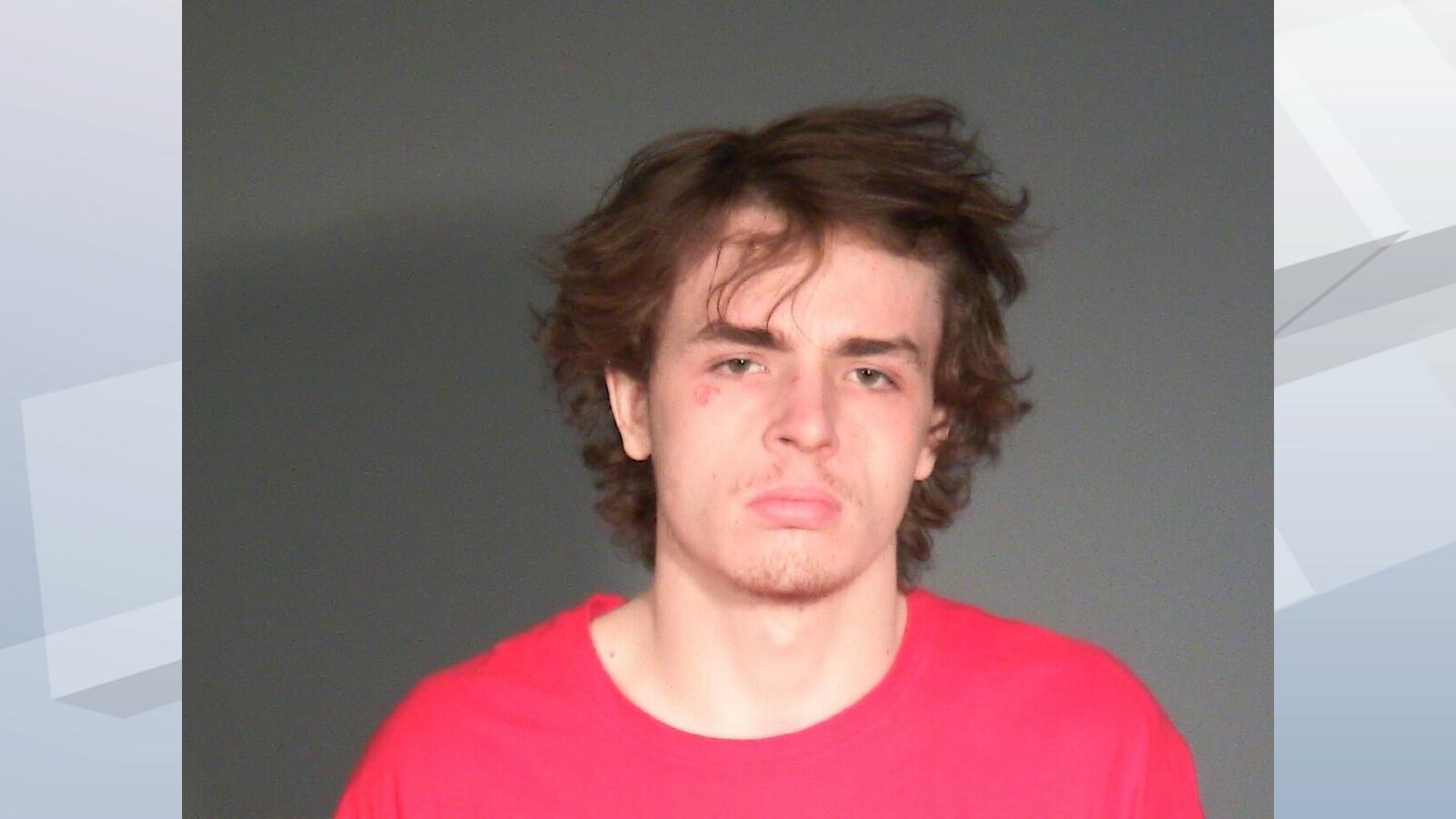 Man pleads no contest in connection to stabbing death of woman during ...