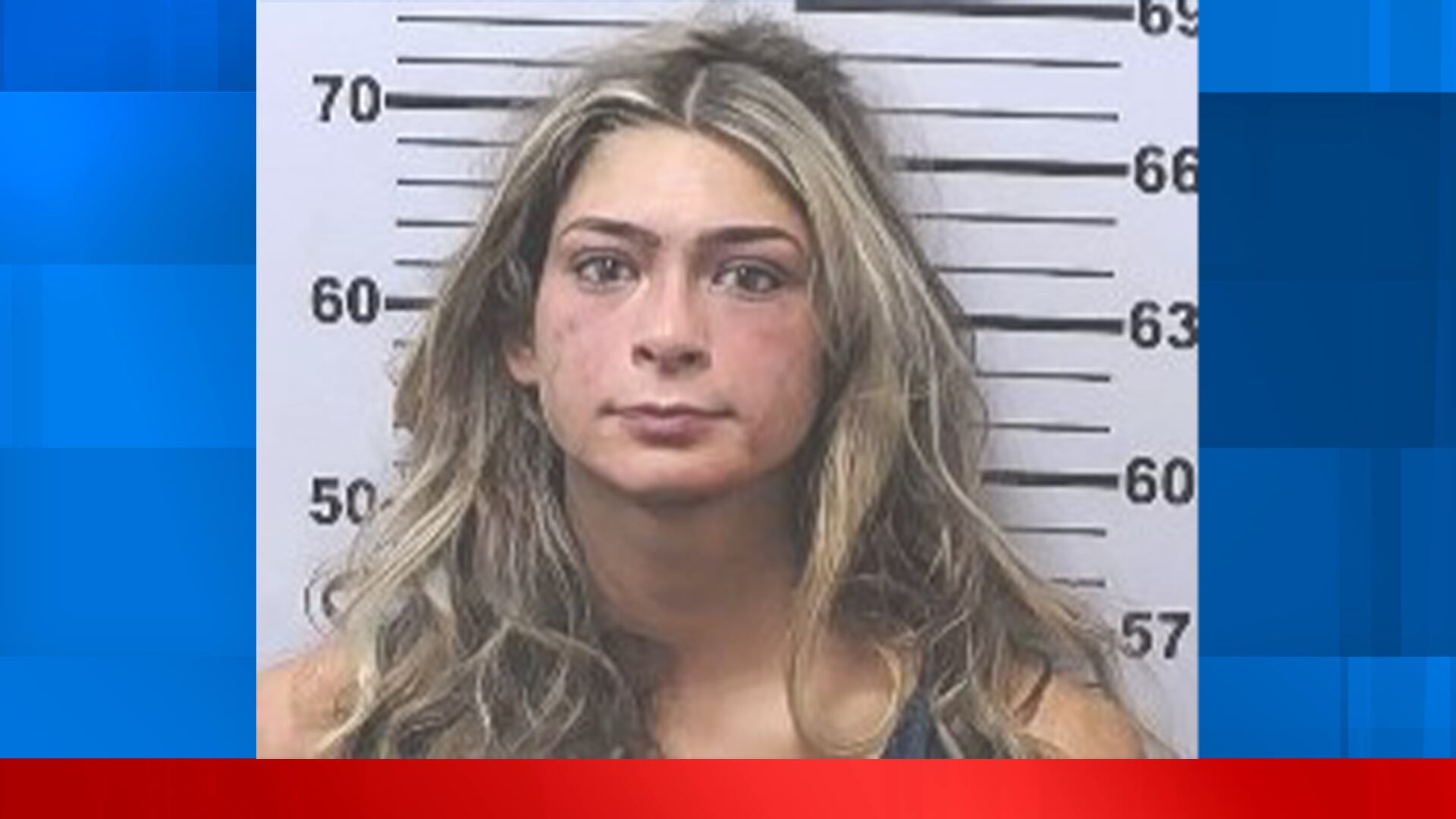 Arrest report: Intoxicated South Alabama student bit officer