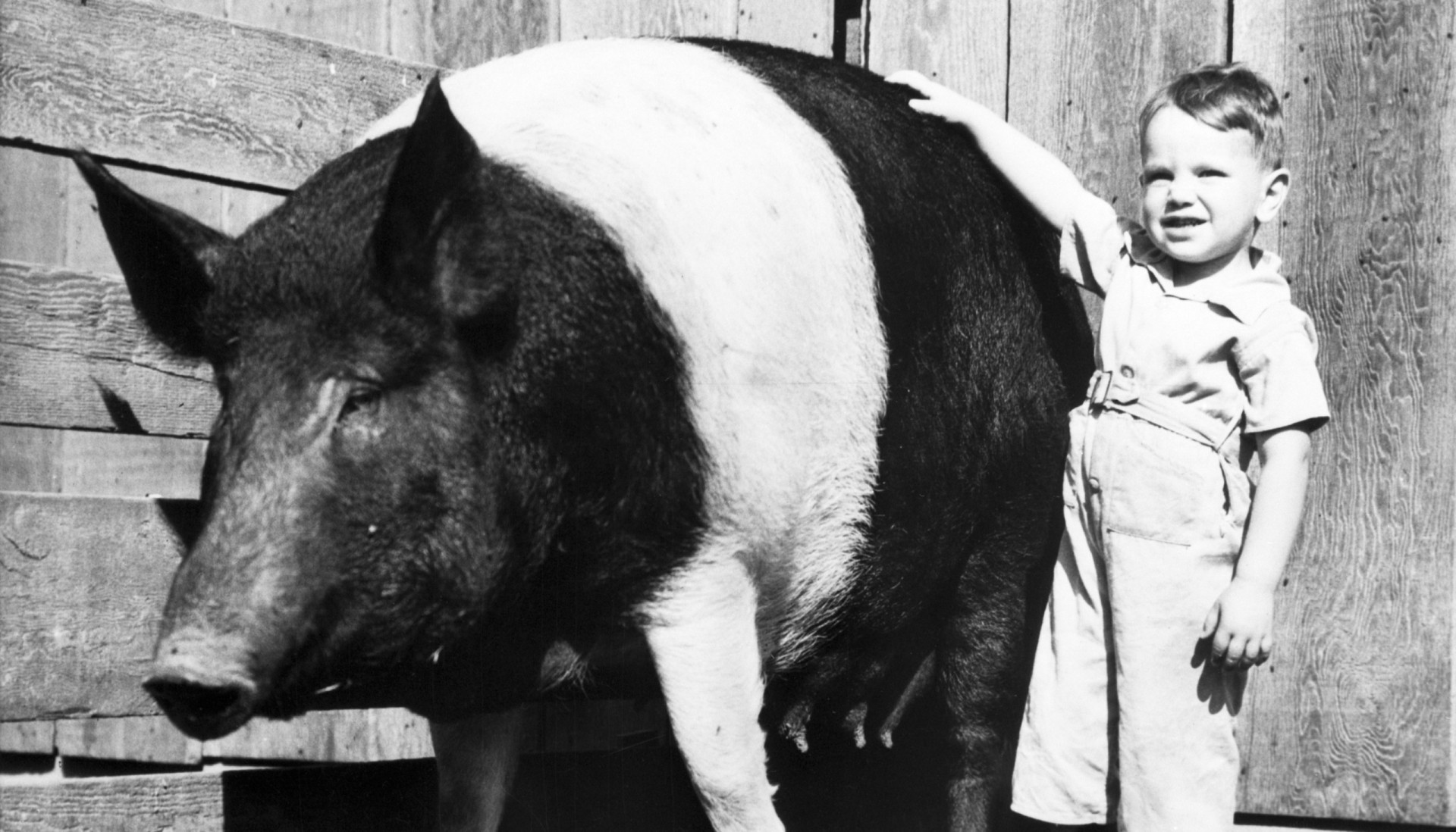 Lesser-known reasons for historical wars