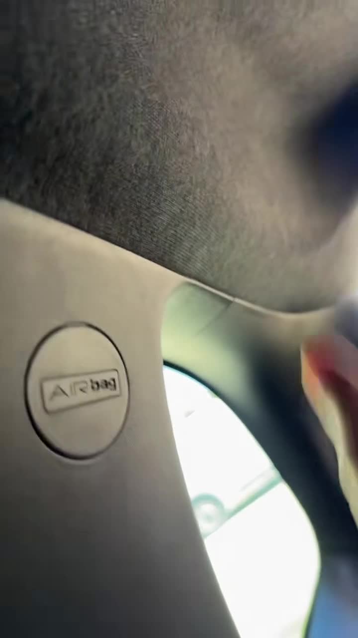 Un poney dans une voiture