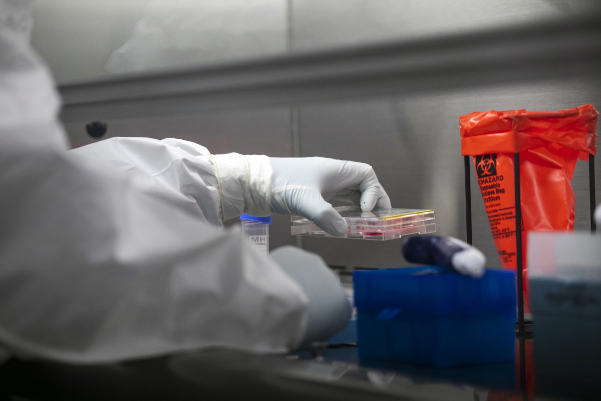 Biotech firm files Chapter 11 bankruptcy for 3 labs, explores crypto plan