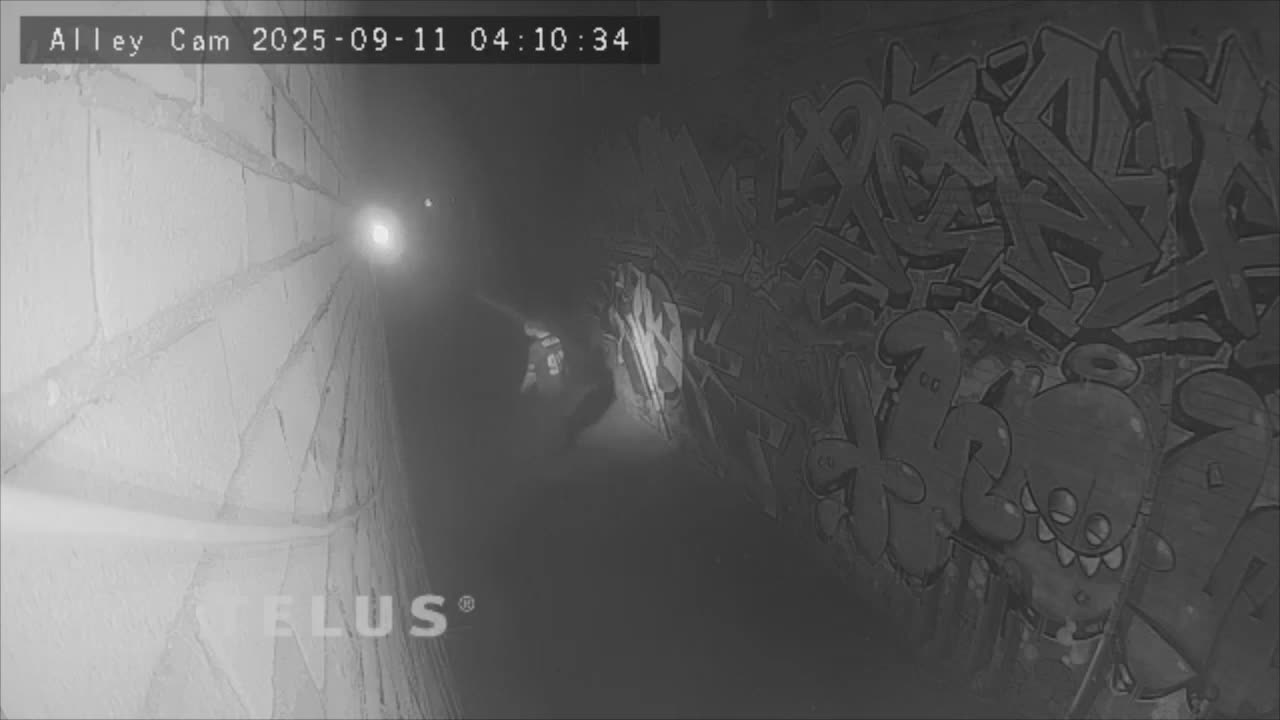CAUGHT ON CAMERA: Surveillance video captured a suspect spray-painting ...