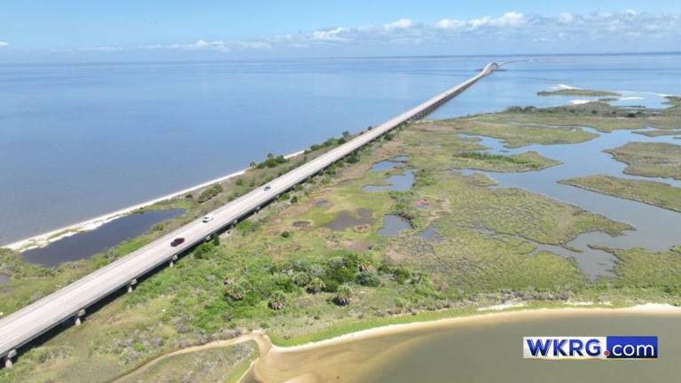 Dauphin Island bridge crash: Alcohol was not a factor, police say