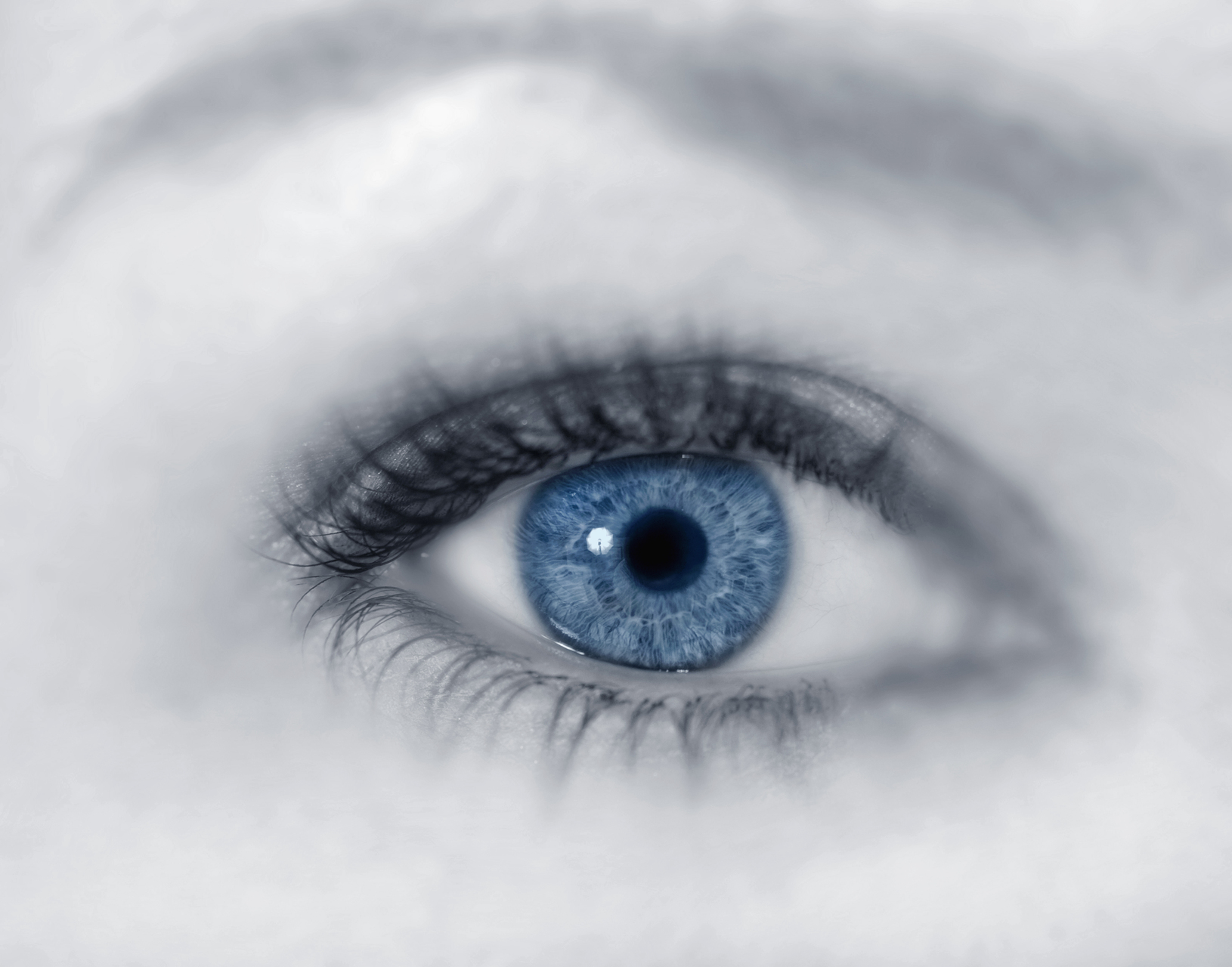 Yeux clairs ou foncés : ce que la science révèle sur leur pouvoir d ...