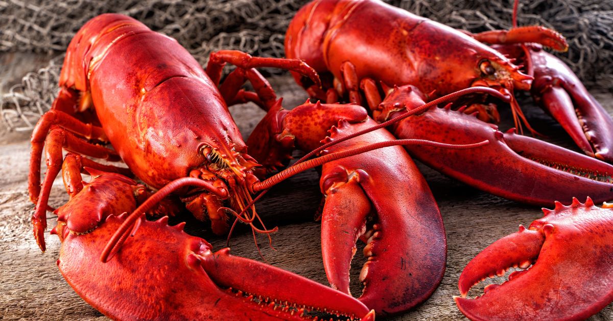6 Indisputable Facts About Life in Maine All Locals Agree On