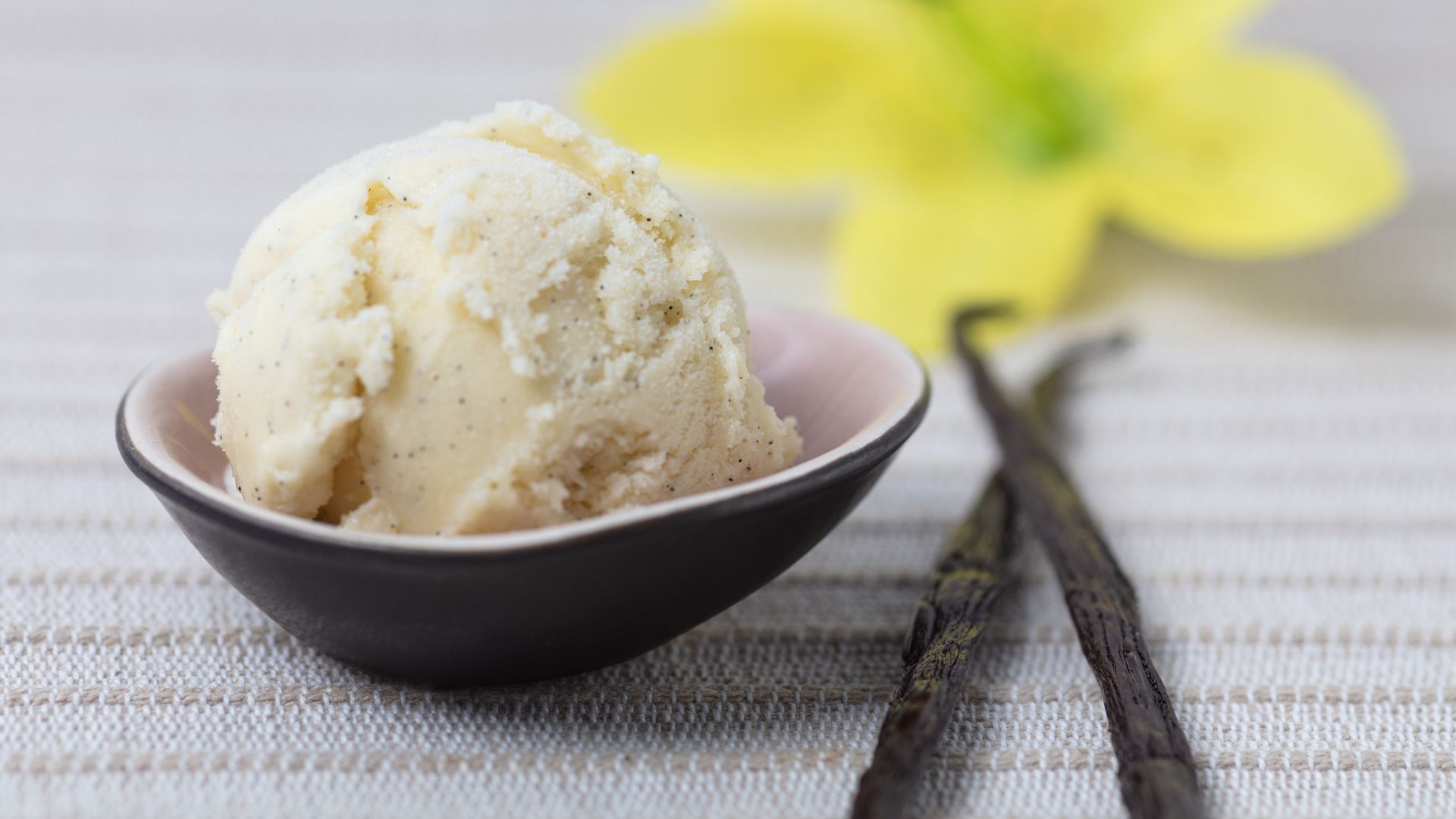 7 Ice Cream Brands That Actually Use Real Vanilla