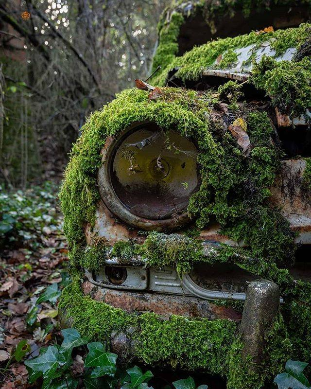 33 Breathtaking Pictures of Abandoned Places Reclaimed by Nature