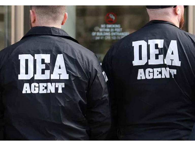 DEA presume arresto de 1,200 de cárteles; pertenecen al CJNG y al de ...