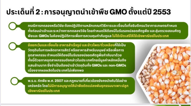 "ธรรมนัส" โต้ "วรวัจน์" GEd ที่ไม่ใช่ GMOs มีความปลอดภัยต่อผู้บริโภค