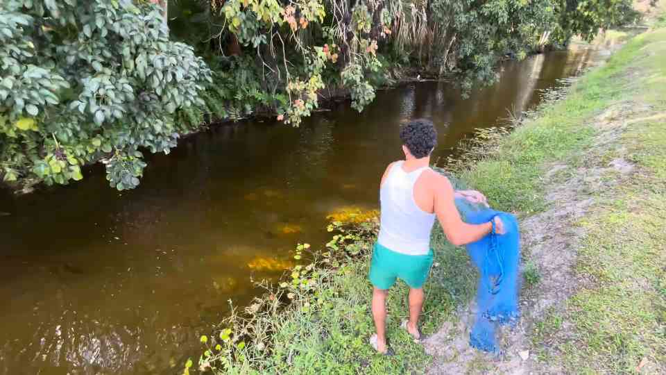 Net Trap Catches Stunning Rainbow Fish In A Tiny Creek