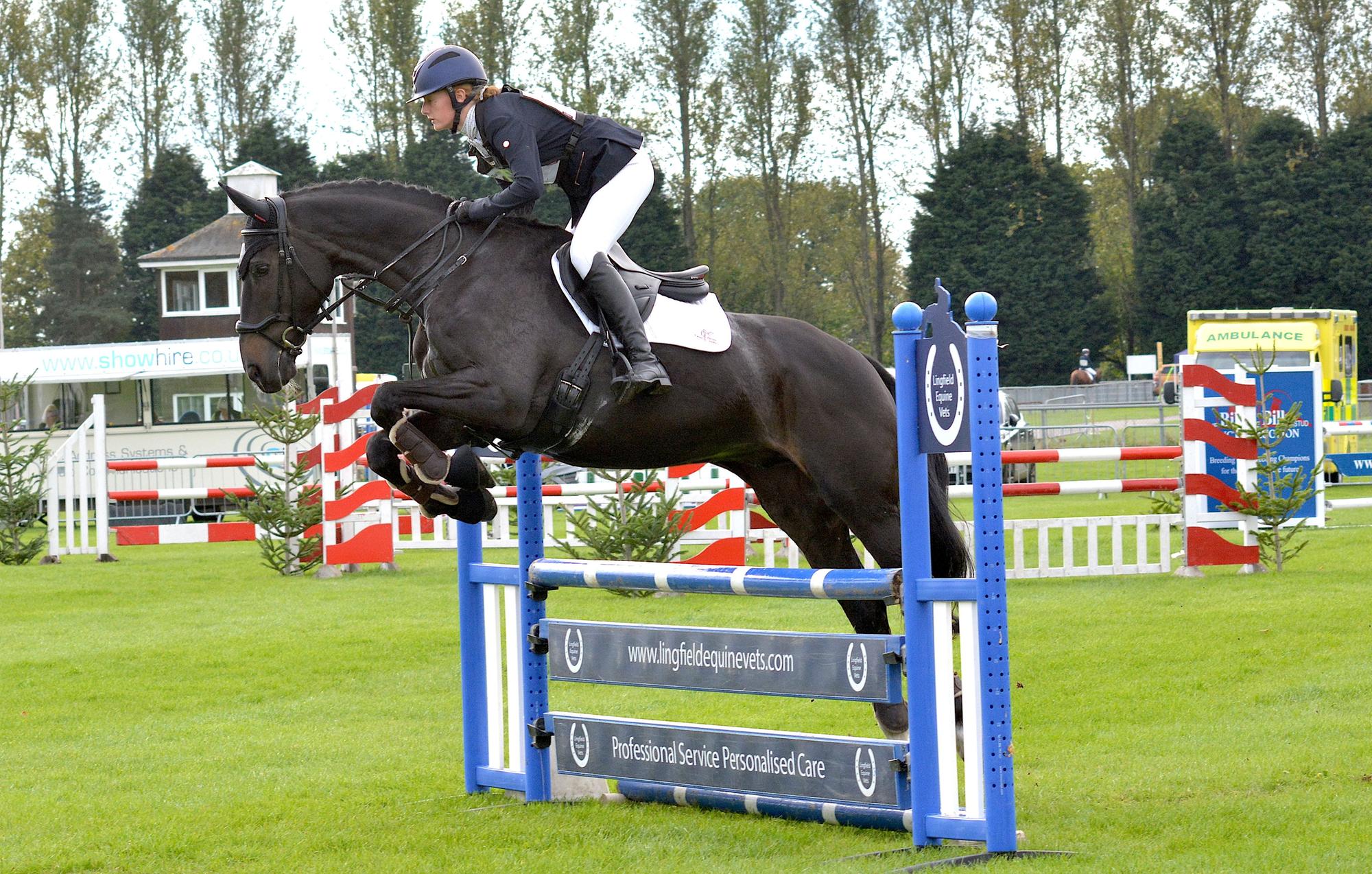 Visitors flock to another successful Autumn Show and Horse Trials at ...