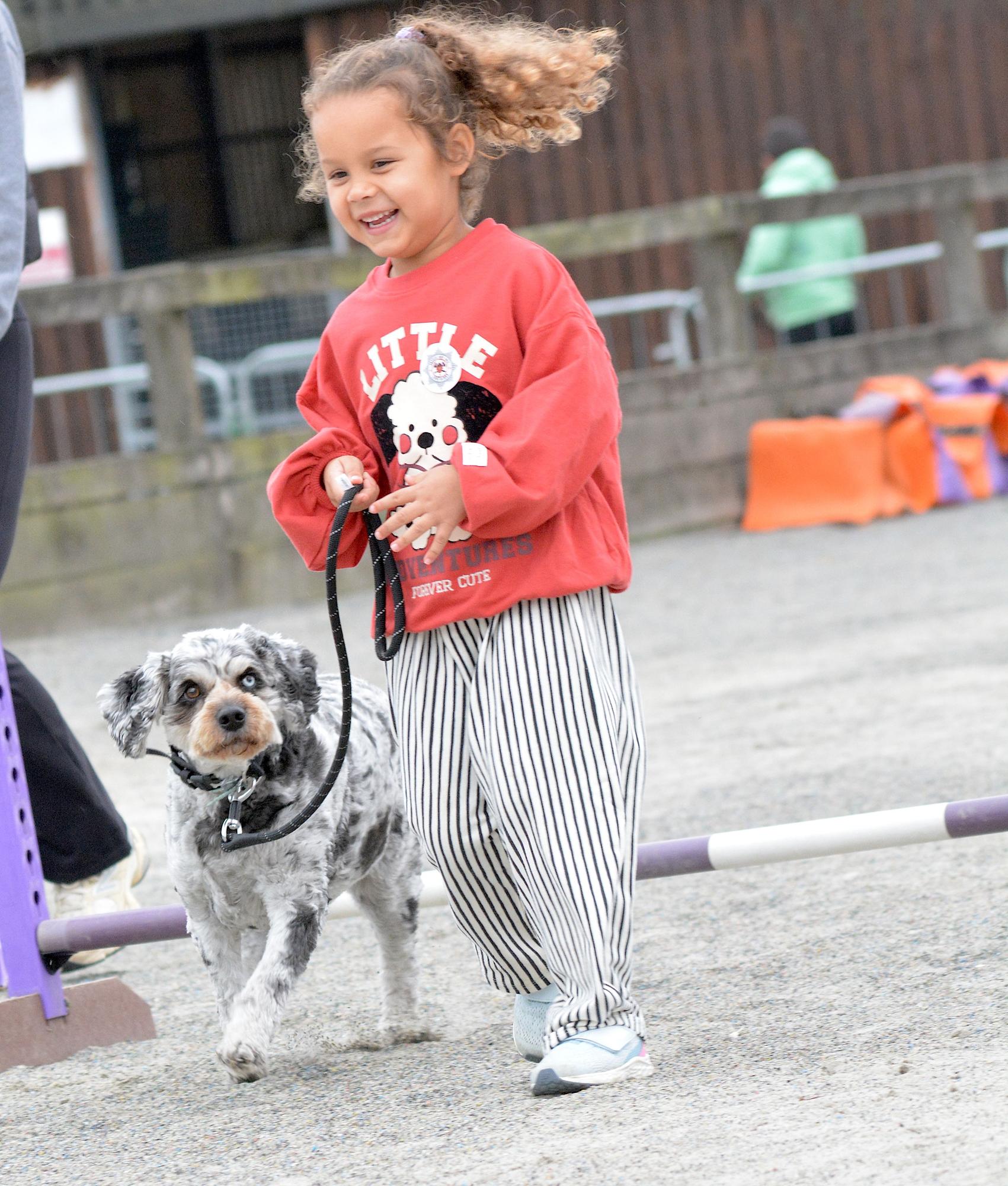 Visitors flock to another successful Autumn Show and Horse Trials at ...