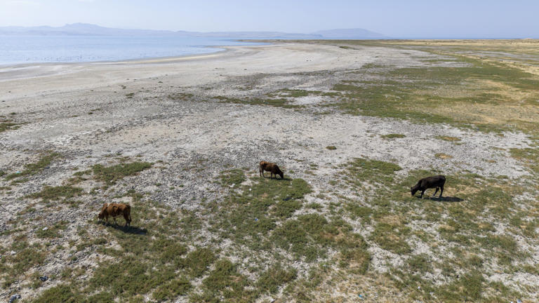 Iran among 'world's most extreme subsidence hotspots' with some areas ...