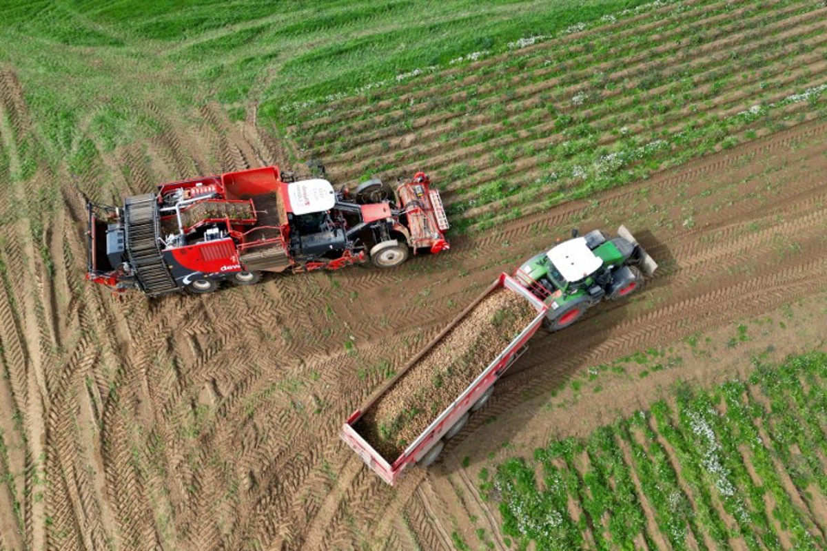 Landbouwsector heeft in 15 jaar tijd minst bijgedragen aan terugdringen ...
