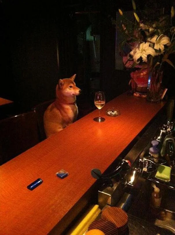 30 Pictures That Are Just Too Funny to Ignore