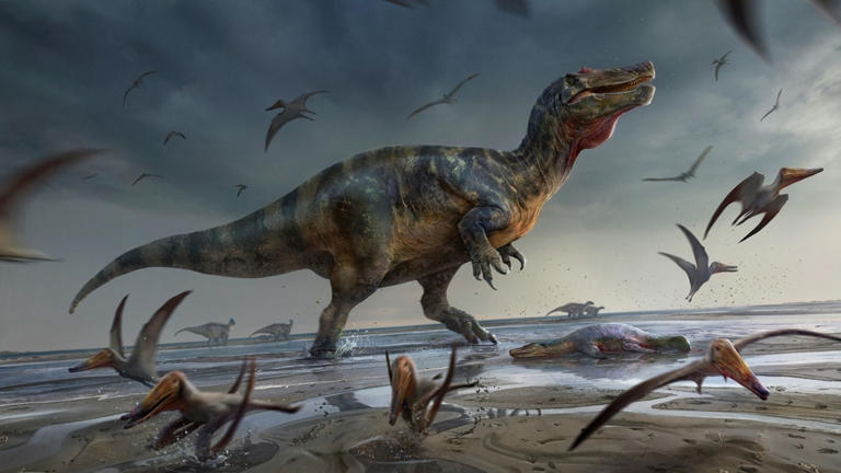 This could be the first animal that appeared on Earth before dinosaurs