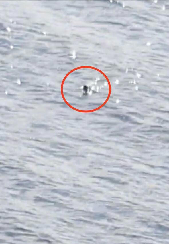 Loch Ness Monster mystery may finally be solved after secret WW2 letter ...