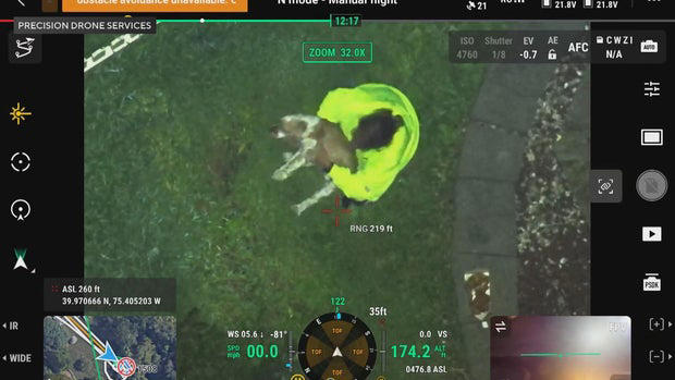 The search for Samson: How a thermal drone pilot reunited a lost dog ...