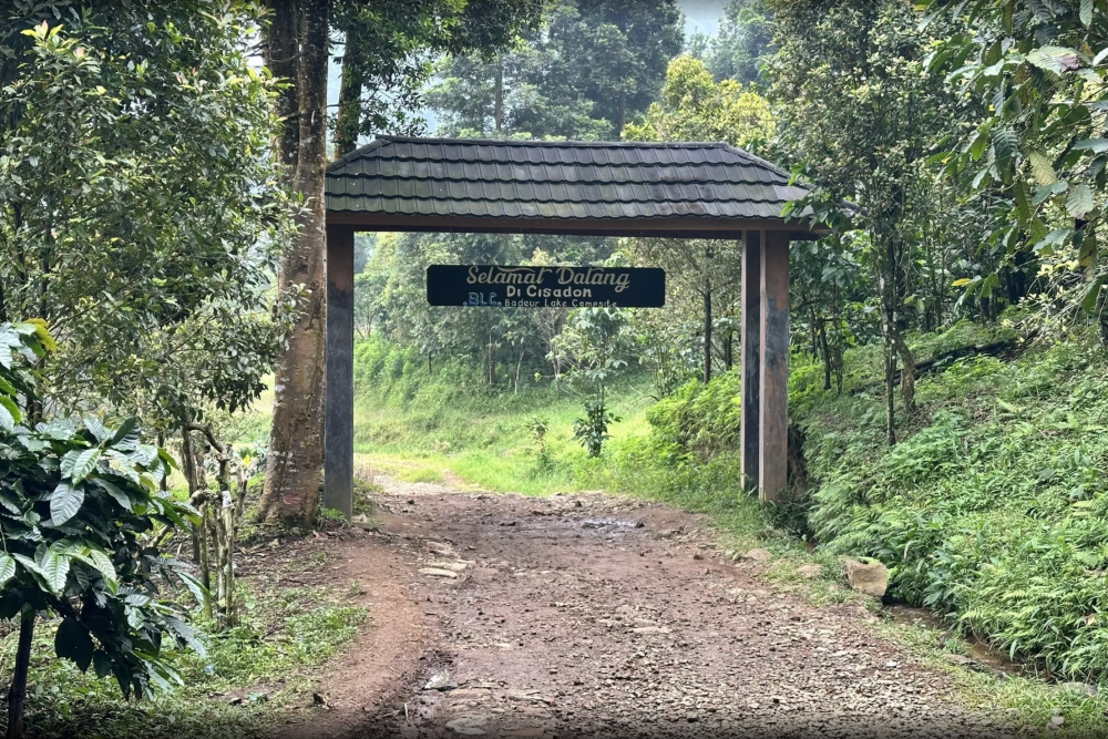 10 rekomendasi lokasi trail run di Bogor, semua lintasan ada!