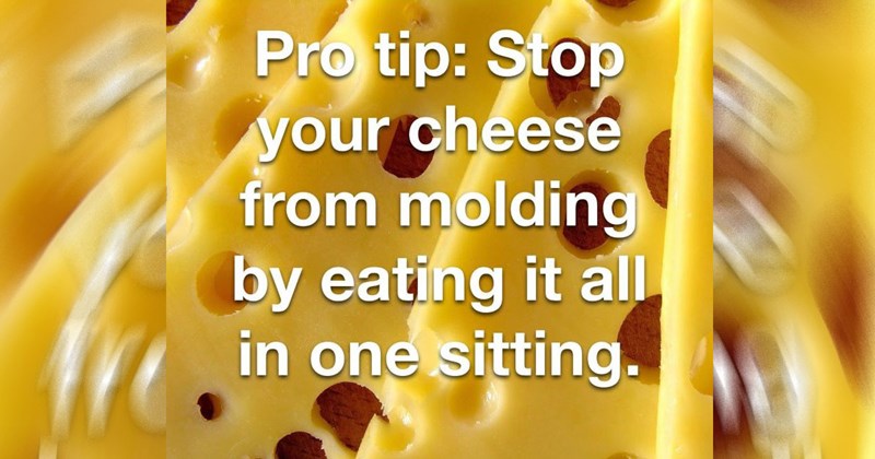 25+ Cheese Memes That Are Cheddar Than Most