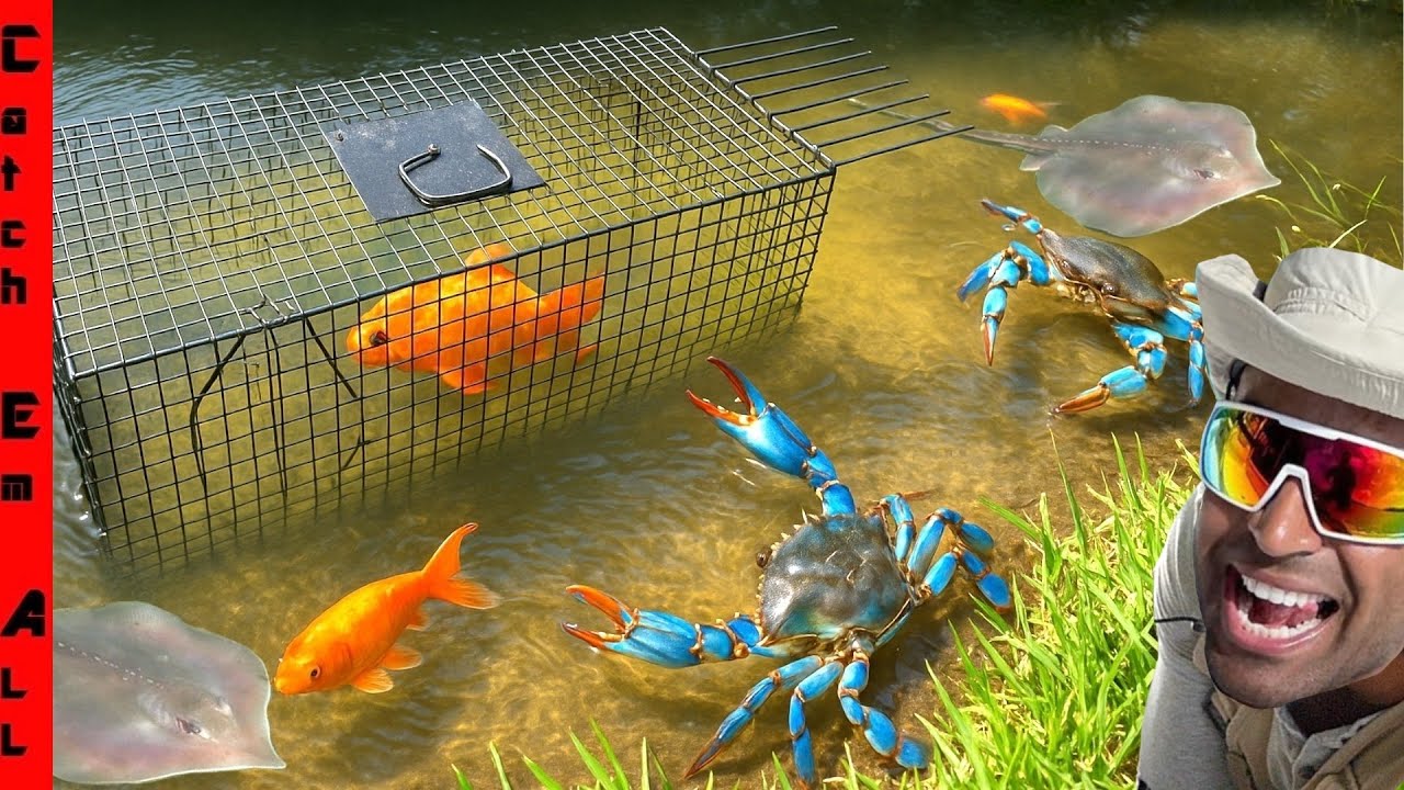 We Found a GIANT CRAB in My Stingray’s Freshwater River!