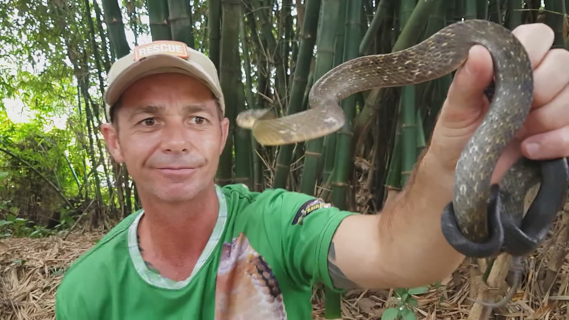 Snake discovery | Snake charmer and what species of snake