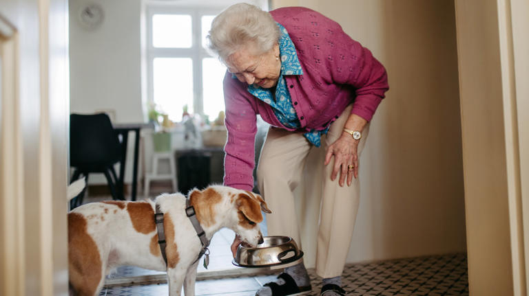 Reuse Planter Stands To Keep Your Pets Feeding Station Neat & Tidy