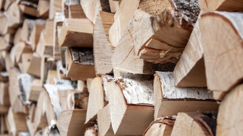 Sustainable Fuel Options For Your Wood Burning Fireplace
