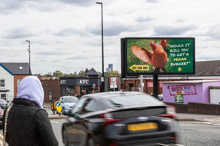 PETA launches huge billboard outside KFC near Birmingham