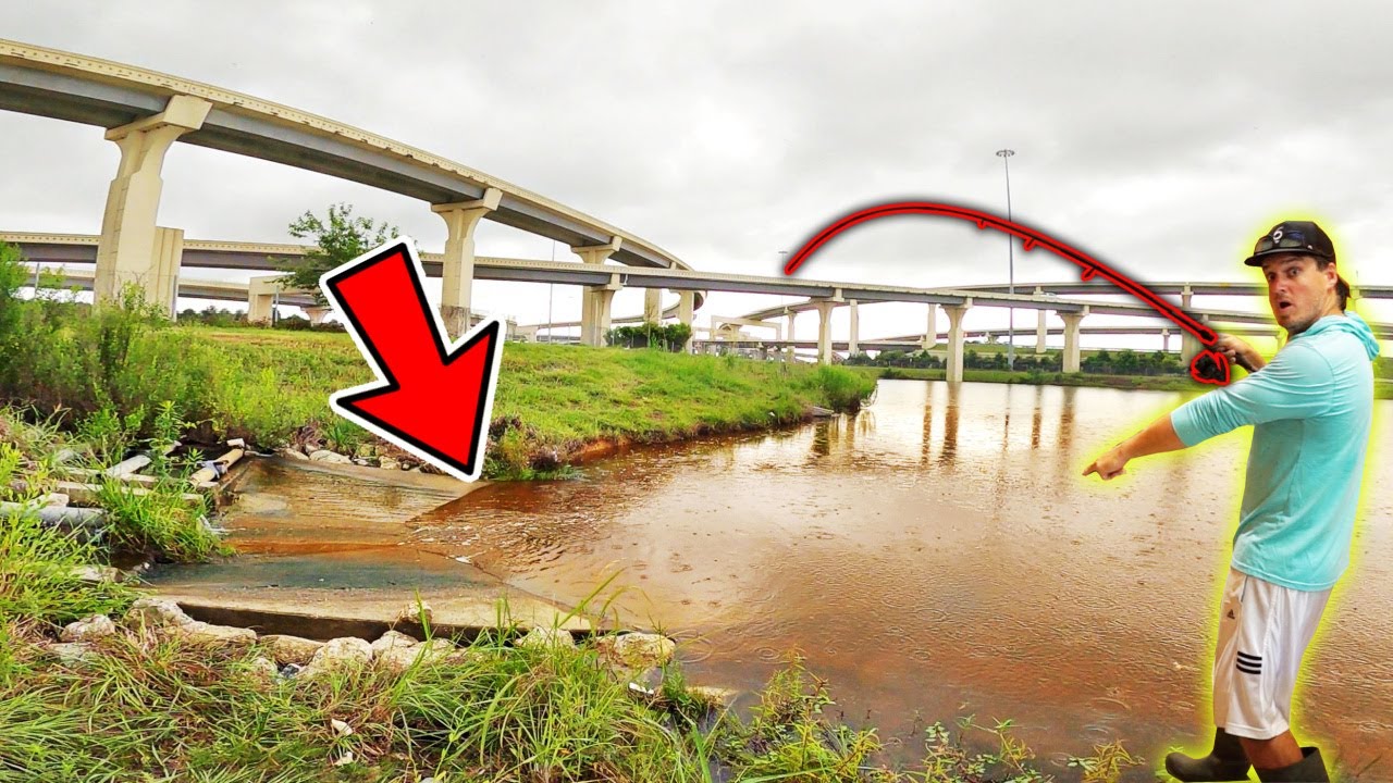 I found big fish trapped in interstate spillway waterway