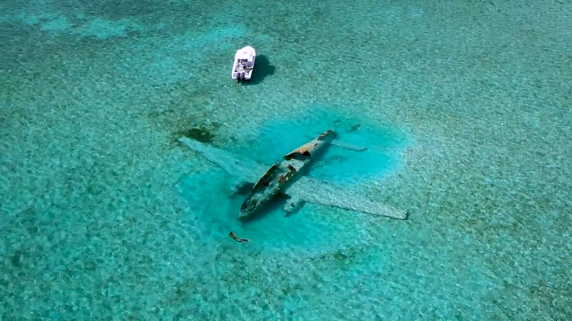 What Happened When We Explored a Drug Smuggling Plane